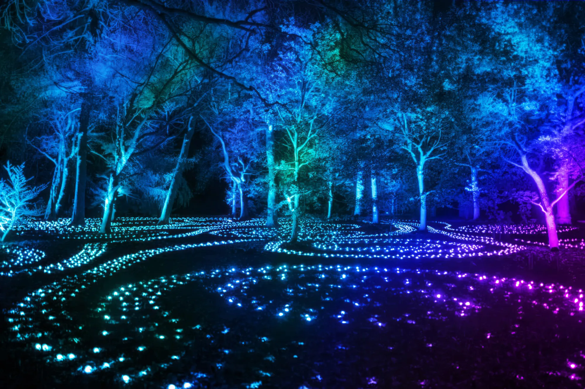 LINCOLN LIGHTS set to light up Lincoln 20 & 21 FEBRUARY 2025 | Lincoln BIG